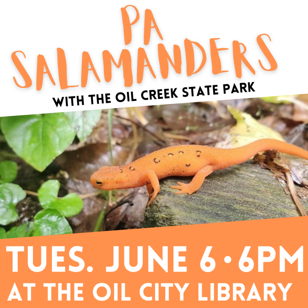 PA Salamanders with the Oil Creek State Park – Oil Region Library ...